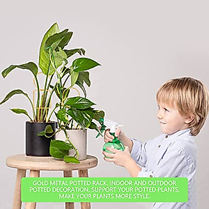 4 Pcs Small Metal Trellis for Potted Plants, 14in Mini Plant Trellis for Climbing Plants Indoor, Gold Plant Trellis Plant Support Stakes for Indoor Small Flowerpot, Garden Potted Plant