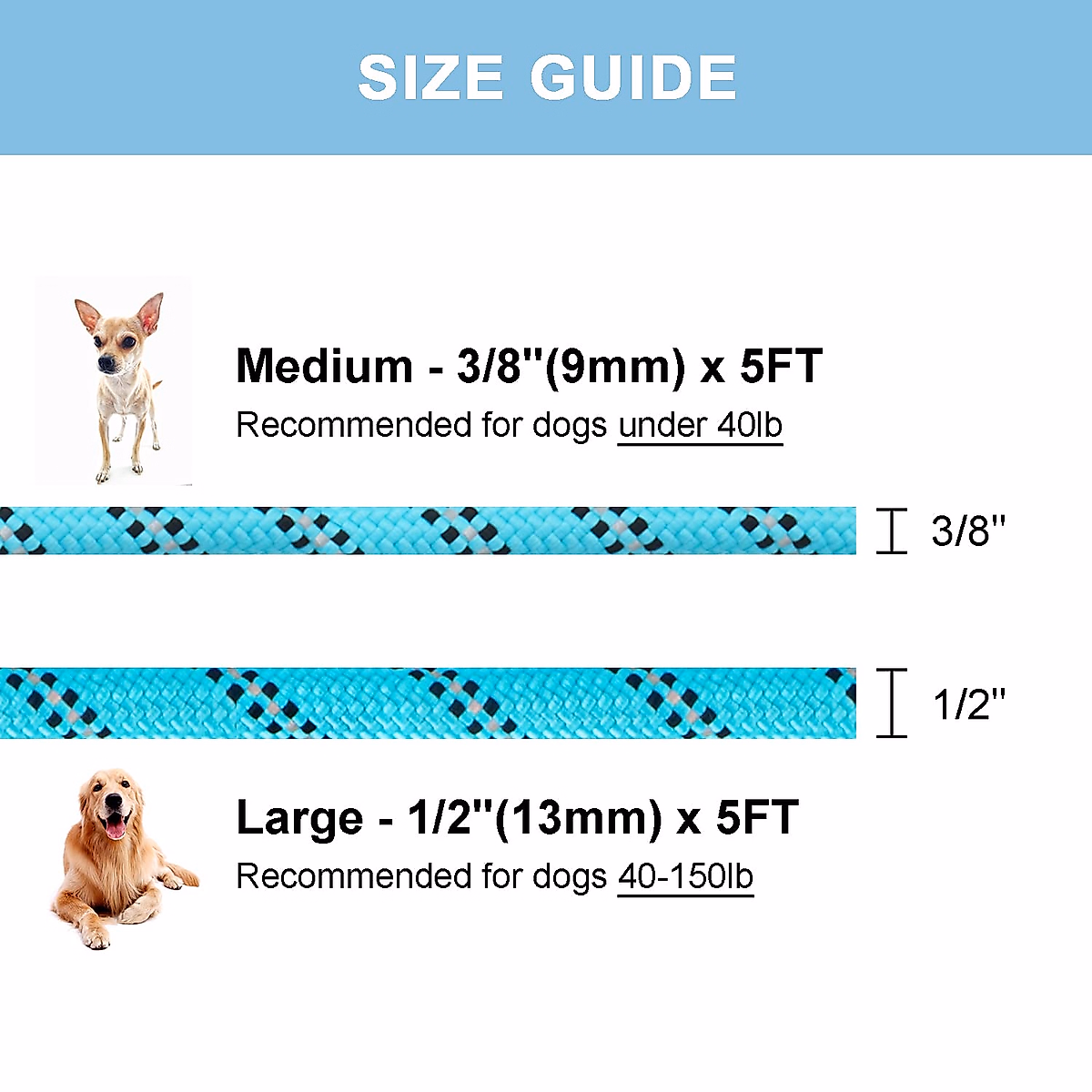 Petarea 5 FT Slip Lead Dog Leash, Heavy Duty Rope Leash for Small Medium Large Dogs, No Pull Training Lead with Reflective Thread, Strong Comfortable Loop Leash (Teal Stripe, Medium(3/8"))