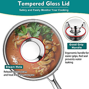 P&P CHEF Small 1 Qt Saucepan, Tri-Ply Stainless Steel Milk Sauce Pan with Glass Lid, Kitchen Induction Cookware for Cooking Boiling Stewing, Dishwasher Safe, Silver