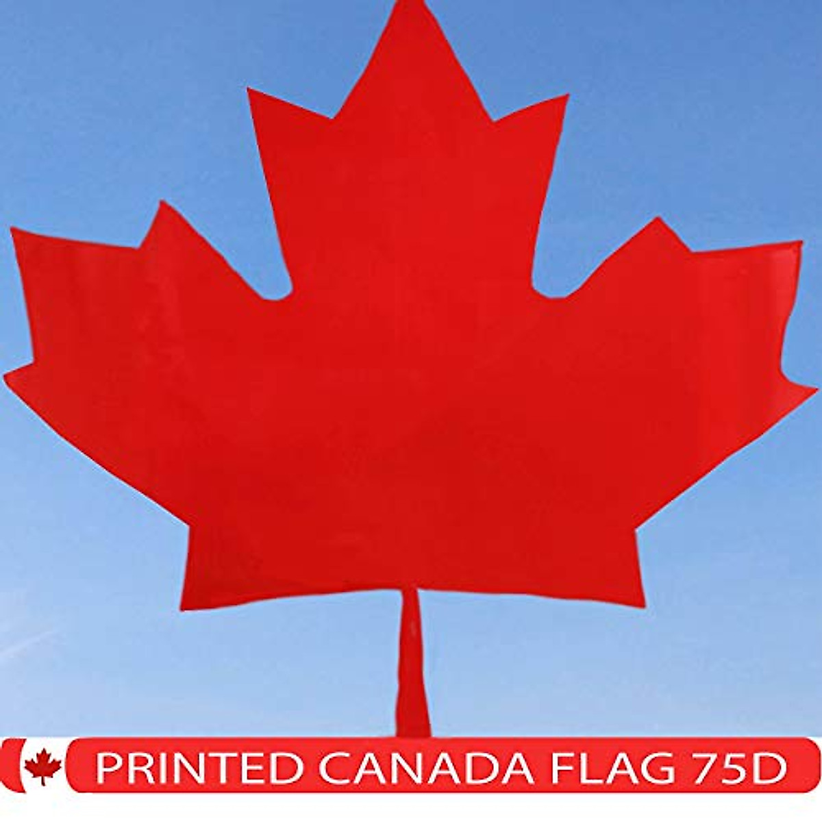 G128 Canada Canadian Flag | 3x5 Ft | LiteWeave Series Printed 100D Polyester | Country Flag, Vibrant Colors, Brass Grommets
