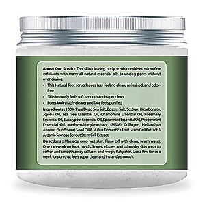 First Botany Body Scrub - Natural Exfoliating Salt Scrub & Body and Face Souffle helps with Moisturizing Skin, Acne, Cellulite, Dead Skin Scars, Wrinkles (10 fl oz, Lavender)