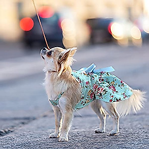 4 Pieces Dog Bowknot Floral Dress Pet Princess Dress Dog Sundress Dog Princess Dress Puppy Summer Dress for Small Pets Dogs Puppy Cats(X-Small)