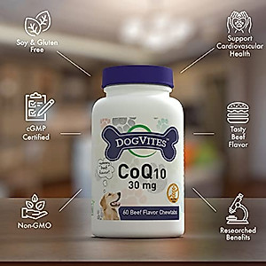Health Thru Nutrition Dog-Vites CoQ10 for Dogs, Beef-Flavored Chewable Tablets, 30mg (Pack of 60)