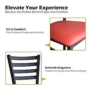 DECFUL Metal Dining Chair Set of 2 - Modern Classic Kitchen Restaurant Dining Chairs with Red Padded Seat Cushion and Sturdy Ladder Backrest