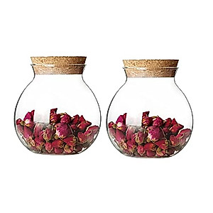 Snminetal 17oz Glass Jar Storage Containers,Wedding Candy Jar Kitchen Canisters, With Cork Airtight Lid, Perfect For Tea, Biscuits, Cereals, Flour, beans, Spices, Coffee Beans (2PCS)