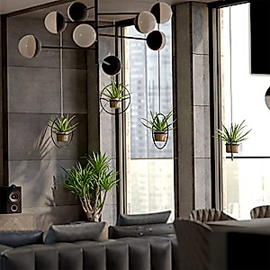 HOBBYMATE Plant Hangers Without Plant & Pot, Metal Hanging Plant Holder, Home Decorating Hanging Iron Art, 3 inches Rose Black Color