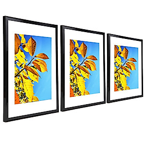 Aynoo 11x14 Picture Frame Black Set of 3 Pack 11x14 Picture Frames Display Pictures 6x8 11x14 Wall Mounting Thin Border Photo Frame for Wall,Black, 3Pack