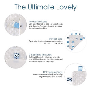 BABY SENSE Taglet Security Baby Blanket Lovey with Pacifier Tag | Soft, Soothing, Comfortable, Warm, Cozy | Unisex & Toddler | Durable & Machine Washable (Pink)