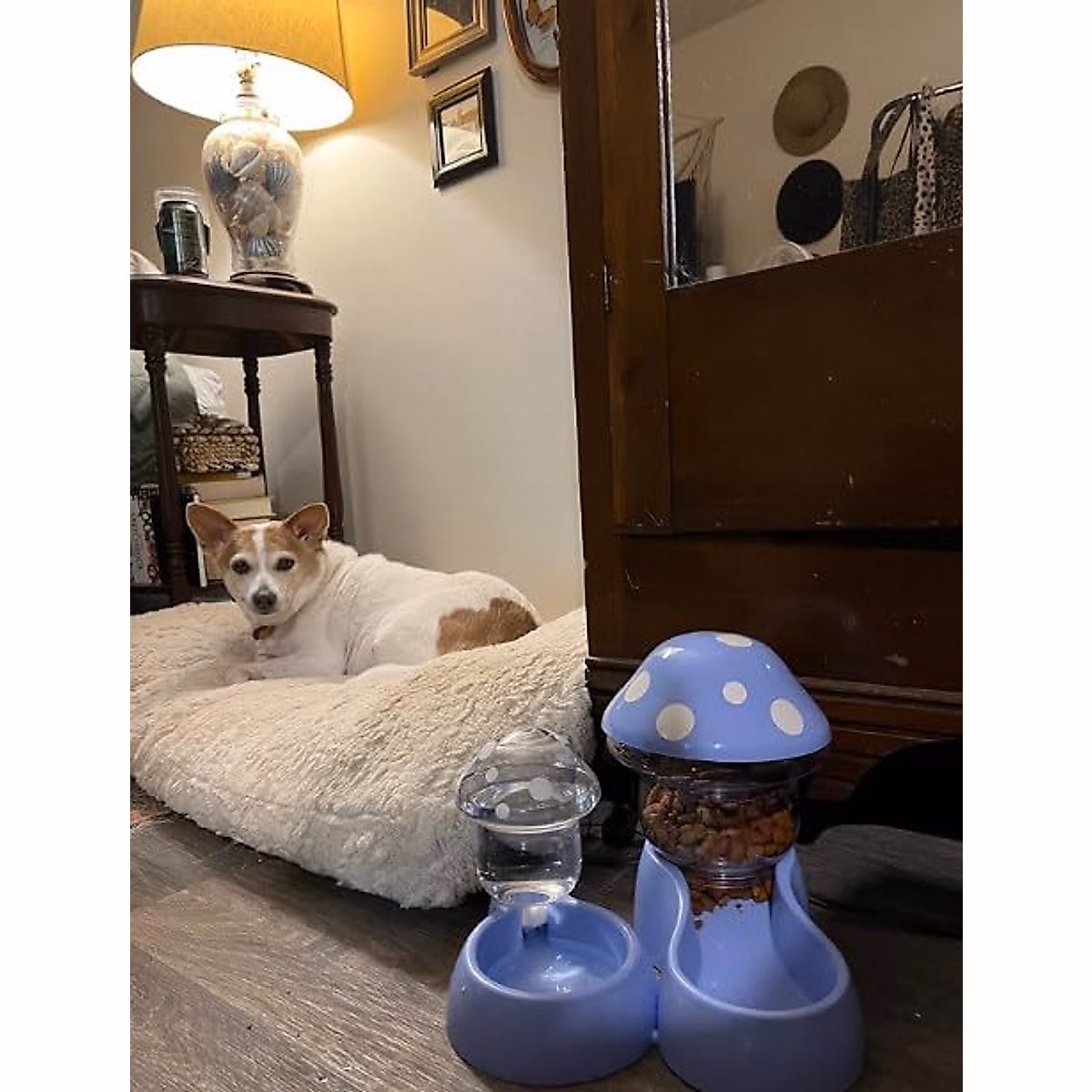 Worparsen Pets Auto Feeder, Automatic Dog Gravity Food Feeder, Cat Water Dispenser, Mushroom Shape Dog Cat Water Food Container, Pet Food Bowl for Small Medium Dog Pets Puppy Kitten Green