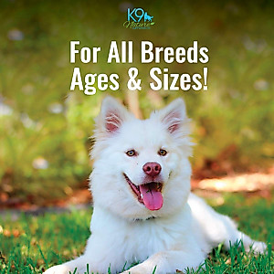 K9 Nature Supplements: All-Clear - Allergy Supplement for Dogs - 45 Chews - Soothing Herbal Formula with Natural Ingredients - Support for Pet’s Seasonal Allergies & Itching - for All Breeds