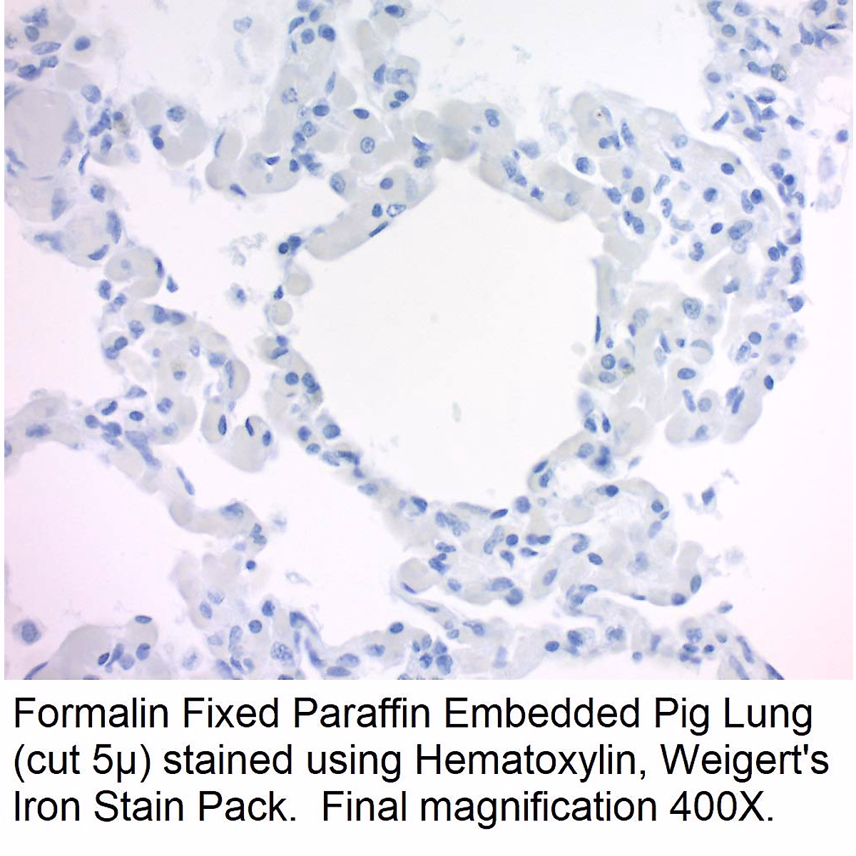Hematoxylin, Weigert's Iron Stain Pack, 500ml