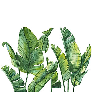 Green Plants Wall Stickers, Removable PVC Fresh Leaves Stick Wall Decals, Creative Murals Paper for Decor Girls Boys Kids Nursery Baby Home Living Room Bedroom Kitchen (33.4 x 21.6 inch)