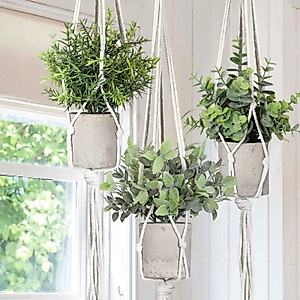 Artificial Plants 3 Pack Mini Fake Plants Fake Hanging Plants Artificial Decor with 3 Macrame Plant Hangers Decorative Plants Faux Hanging Plants Greenery Decor for Wall Kitchen Bathroom Home Office