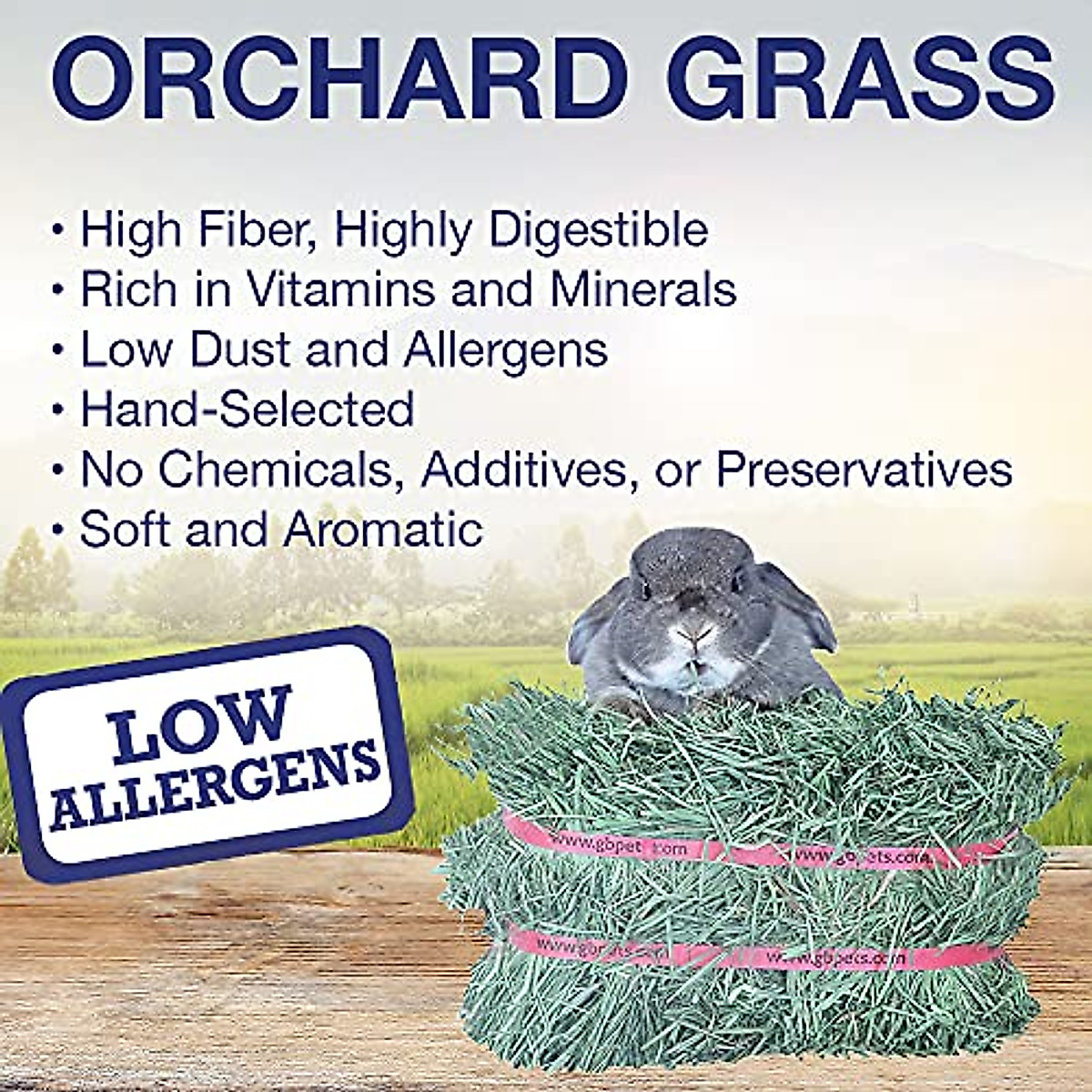 Grandpa's Best Orchard Grass Bale for Rabbits, Guinea Pigs, Chinchillas, Hamsters & Gerbils, 10 Lbs (Packaging may vary)