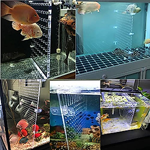 HingoFuni Fish Tank Divider Aquarium Acrylic Isolation Grid Board Divider with Suction Cups Accessories Transparent Plate Baffle Blocking Fish Partition Net Freshwater Ornament 25x30cm