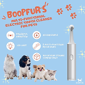 Generic Multifunctional Pet Electric Tooth Cleaning Tool for Dogs and Cats, 1 Count (Pack of 1), Silver