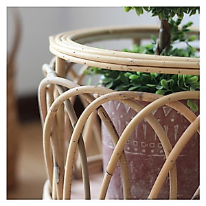 Bonsai Pedestal Plant Display Stand Plant Flower Stand Floor-to-Ceiling Racks Living Room TV Cabinet Balcony Garden Flower Pot Rack Vase Bonsai Base (Color : Brass)