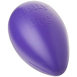 Jolly Pets Jolly Egg Dog Toy, 12 Inches/Large, Purple