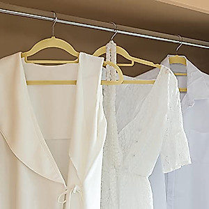 NesTidy Ladies Velvet Hangers 60 Pack, 16.5" Non-Slip Felt Hangers with Swivel Hook, Space Saving Hangers Flocked Hangers for Coats, Sweaters, Jackets, Pants & Dress Clothes(Ivory)