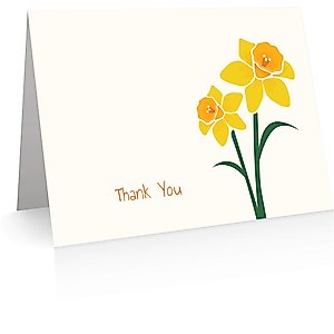 Daffodil Thank You Cards (24 Foldover Cards and Envelopes)