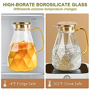 Yirilan Glass Pitcher,74oz/2.2 Liter Water Pitcher with Lid,Beverage Serveware,Iced Tea Pitcher,Water Carafe with Handle,Heat Resistant Borosilicate Water Glass Jug（with Mixing Spoon and Cup Brush）