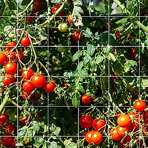 Seedfactor 5 x 15 ft. Plant Trellis Netting, Heavy-Duty Polyester Grow Net, Garden Trellis Netting with Square Mesh for Climbing Plants, Vegetables, Fruits, and Flowers, 1-Pack