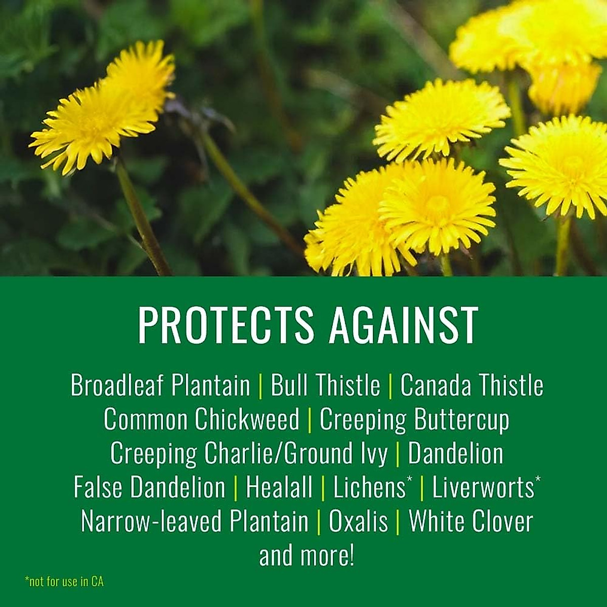 Natria 100532520 24 oz Bayer Lawn Weed & Disease Control, 1.5 Pounds, White