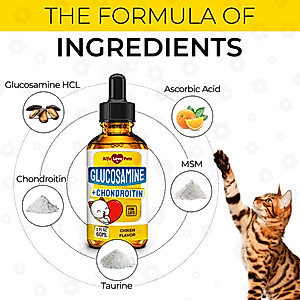Cat Joint Supplement ✿ Cat Glucosamine ✿ Glucosamine Chondroitin MSM ✿ Joint Supplement for Cats ✿ Glucosamine for Cats ✿ Glucosamine Chondroitin for Cats ✿ Cat Hip and Joint Supplements ✿ 3 Packs