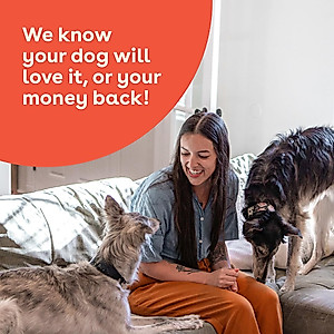 Pupford Steak Strips for Dogs & Puppies - Healthy, Natural, Single Ingredient Freeze Dried Beef Lung Dog Treats - Made in USA (10 oz)