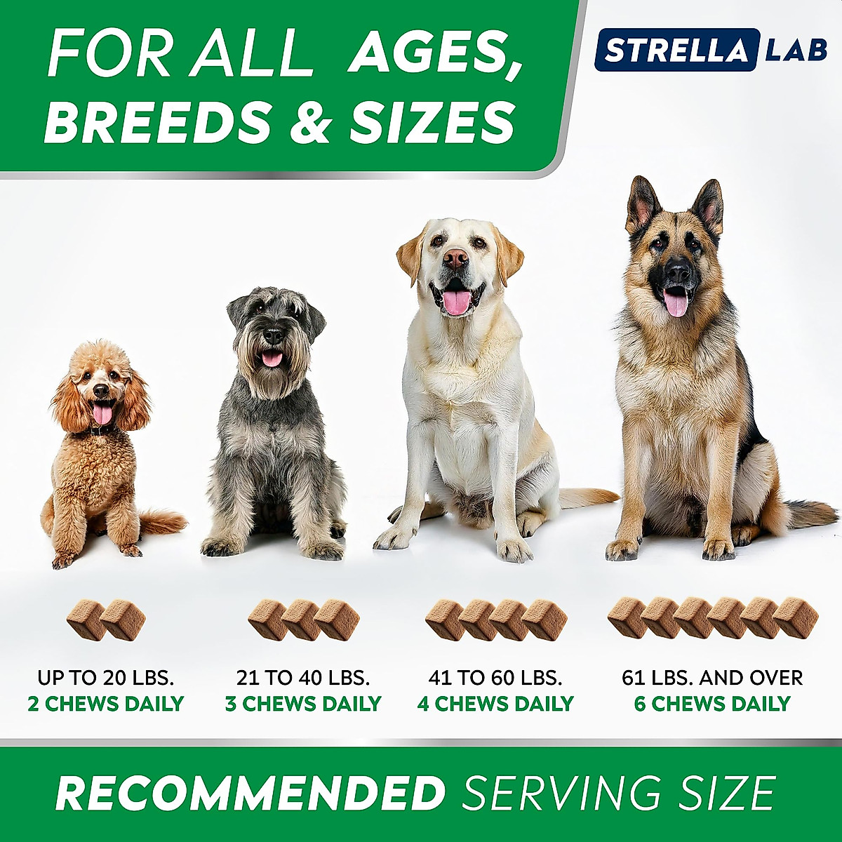StrellaLab Dog Allergy Relief & Anti Itch Support Chews w/Omega 3: Real Ingredients, Real Taste! Skin & Coat Immune Supplement w/Fish Oil, Pumpkin & Enzymes — Developed by Experts - Made in USA -120Ct
