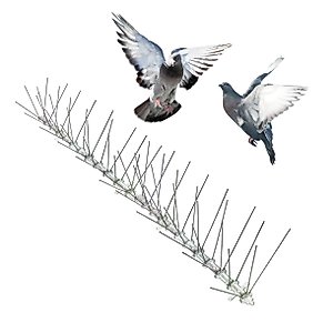 Bird-X Stainless Steel Bird Spikes, 8-inch Extra-Wide Spikes, Bird Spikes for Pigeons and Other Small Birds, Easy to Install, Contains 2 ft. Strips, Covers 100 Linear Feet Area, EWS-100