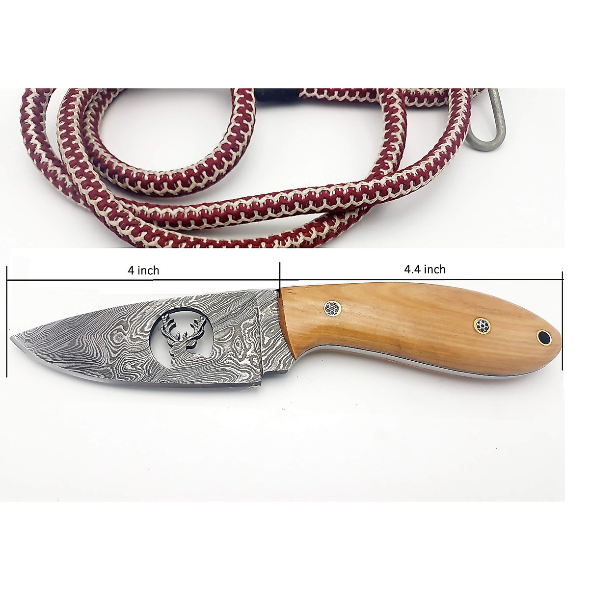 Nooraki REG- 61 Handmade Damascus Hunting knife 8.5 inches Full Tang Stag Head on Blade with Leather Sheath