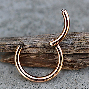 WildKlass Jewelry Rose Gold Hinged Seamless Clicker Ring 316L Surgical Steel (14 GA, Length: 8mm, Rose Gold)