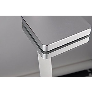 LUXA2 E-One Silver Solid-Metal Aluminum Universal Gaming Headphone Stand/Hanger/Holder for Beats, Senheiser, Sony, Bose, Philips, Audio-Technica, Plantronics, Shure, Jabra, JVC, JBL, AKG, DJ, Gaming Headsets Display HO-HDP-ALE1SI-00