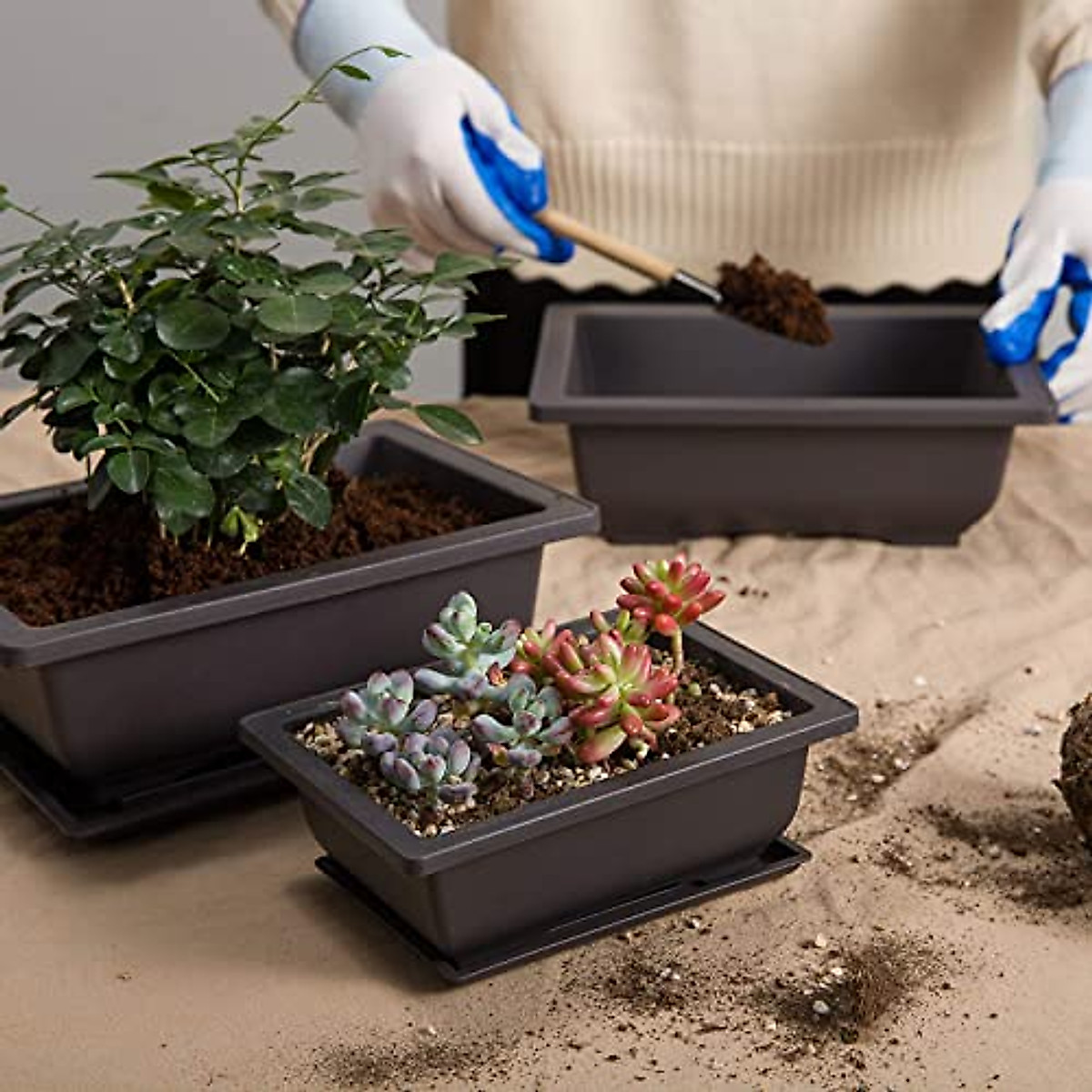 MissFox Bonsai Bowl with Saucer, Flower Pot Rectangular Plastic Bonsai Pot Set Plant Pot for Garden, 6 Pieces Flower Pots Large with Tray, 23 x 17 x 8 cm