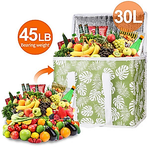 Bodaon 2-Pack Insulated Reusable Grocery Shopping Bags, X-Large Picnic Cooler Bag with Zipper Zippered Top Cold, Green-Leaf