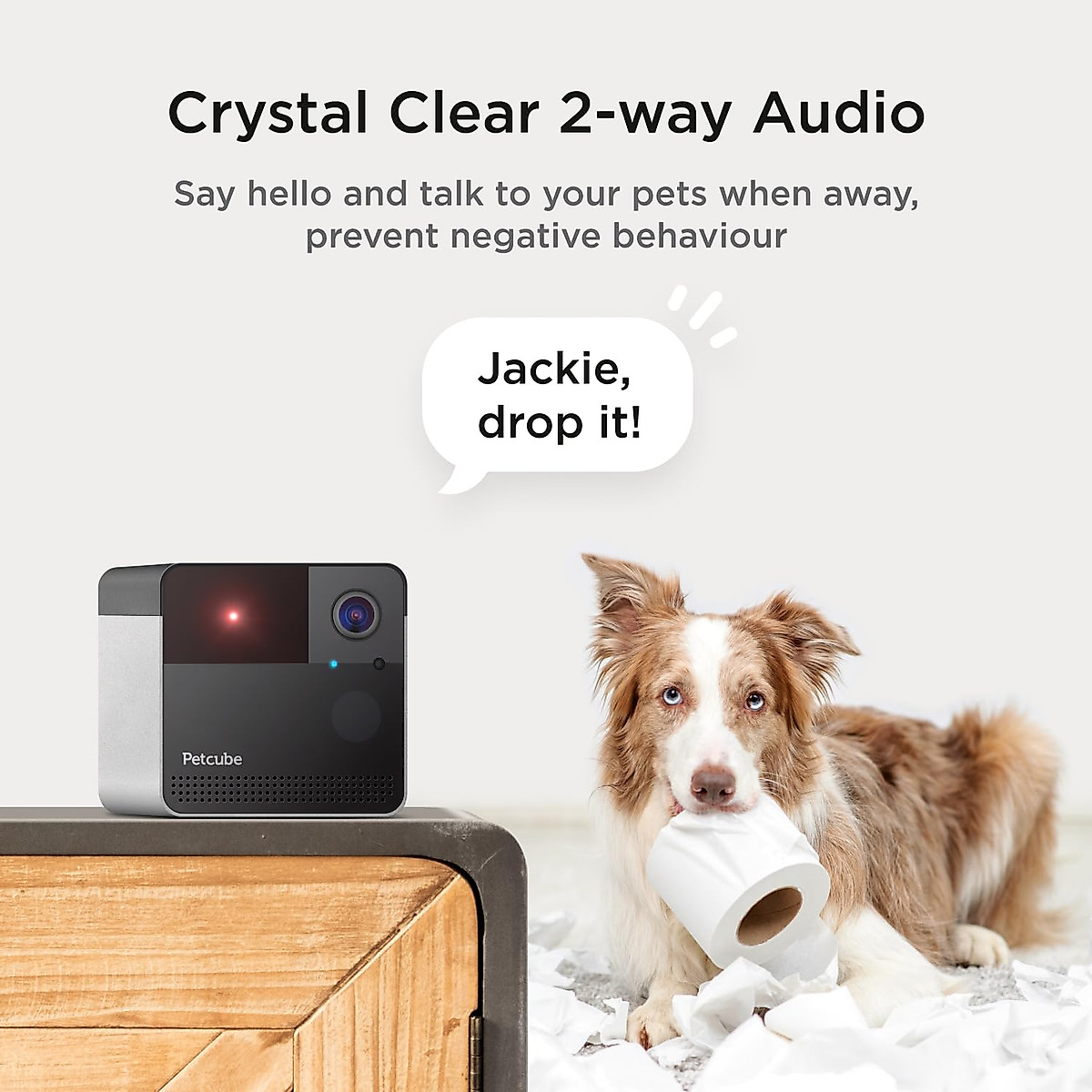 Petcube Play 2 Wi-Fi Pet Camera with Laser Toy & Alexa Built-In, for Cats & Dogs. 1080P HD Video, 160° Full-Room View, 2-Way Audio, Sound/Motion Alerts, Night Vision, Pet Monitoring App
