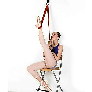 LEPOD Door Stretch Band - Get More Flexible with The Door Flexibility Trainer to Improve Leg Stretching - Perfect Home Equipment for Ballet, Dance and Gymnastic Exercise Taekwondo & MMA (Pink)