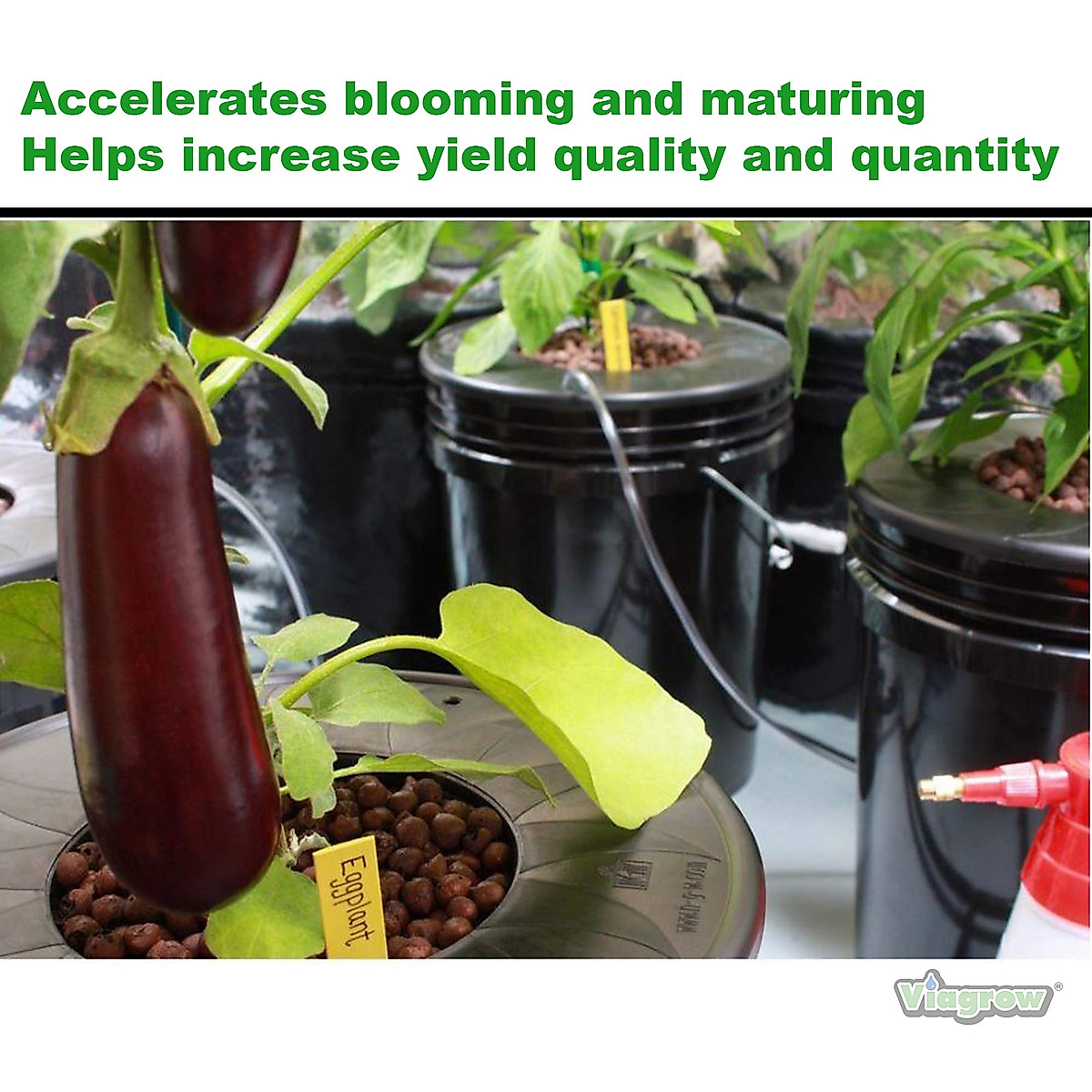 Viagrow Viastone, Expanded Clay Pebbles (2 Liter, 1 Pack)