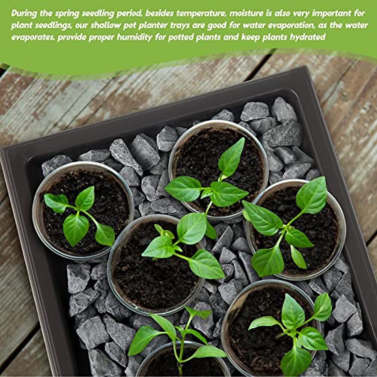 2 Pack Bonsai Humidity Tray 9 Inch Drip Tray Rectangular Plastic Plant ...