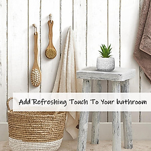 CADNLY Small Artificial Plants in Pots - Fake Plants for Bathroom Office Desk - Faux Succulents Succulents Decor 1 Pack