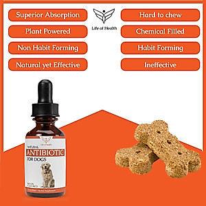Natural Antibiotics for Dogs | Dog Antibiotics | Dog Ear Infection Treatment | Dog Itch Relief | Yeast Infection Treatment for Dogs | Dog Antibiotic | Pet Antibiotics | Antibiotic for Dogs | 1 oz