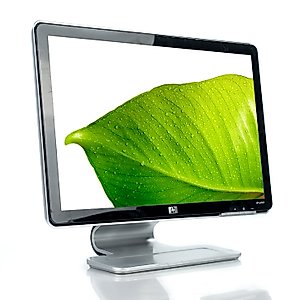 HP W1907 19-inch Widescreen Flat Panel LCD Monitor