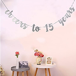 StarsGarden Cheers to 15 Years Banner - It's My Funny Fabulous 15 Banner -15th Birthday Banner Decorations - Milestone Happy Birthday Decorations(Silver 15), SG-22NP453
