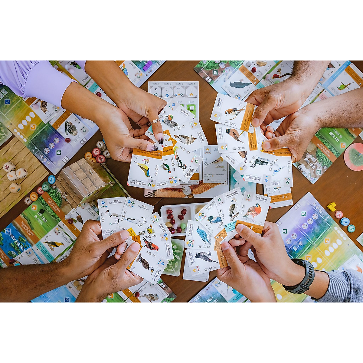 Stonemaier Games: Wingspan Asia | Standalone Game or Expansion to Wingspan (Base Game) | Great for Solo Play or 2 Player | Add to Wingspan for 6-7 Player Expansion | 1-5 Players, 70 Mins, Ages 14+