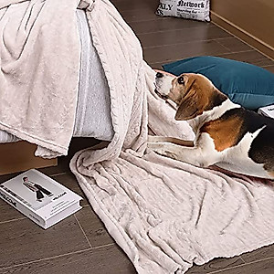 Nelaukoko Fleece Blanket Fuzzy Plush Throw Blanket 50" x 60", Super Soft Fluffy Lightweight Sofa Blanket Comfy Microfiber Flannel Blankets for Couch, Bed, Air-Conditioned Rooms (Beige)