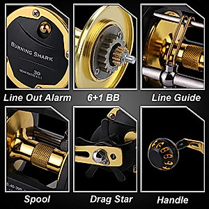 Sougayilang Trolling Reel Saltwater Level Wind Reels, Drag Reels Boat Fishing Ocean Fishing for Sea Bass Grouper Salmon-SHA30-Golden