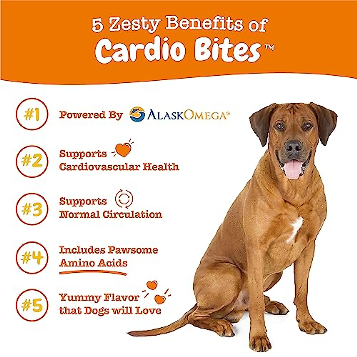 Zesty Paws Cardiovascular Soft Chews for Dogs - with Antioxidants and AlaskOmega Fish Oil with Omega 3 Fatty Acids - Plus CoQ10, Taurine & L Carnitine for Dog Heart Health - 90 Count