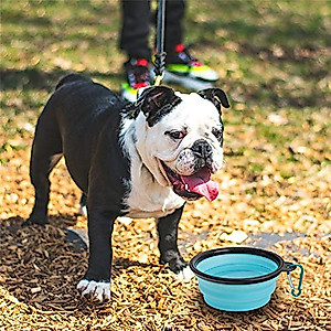 SLSON Collapsible Pet Bowl Dog Bowls 2 Pack, Portable Silicone Pet Feeder, Foldable Expandable for Dog/Cat Food Water Feeding, Travel Bowl for Camping (Light Blue+Light Green)