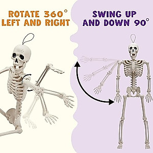 JOYIN 2 PCS 16 Inches Halloween Skeletons Full Body Posable Joints Skeletons for Halloween Graveyard Decorations, Haunted House Accessories